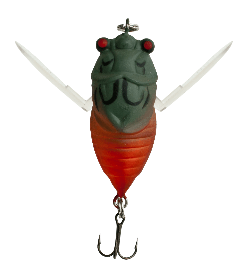 Profishent Humbug 40mm Cicada Surface Lure – tackleaddiction.com.au